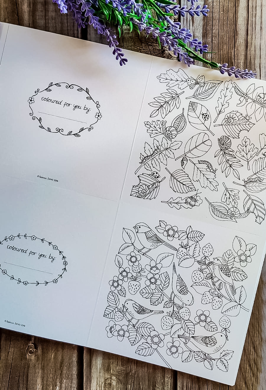 The Colouring Book of Cards and Envelopes Books